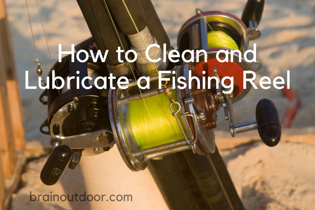 How to Clean and Lubricate a Fishing Reel - 10 Methods - Brainoutdoor